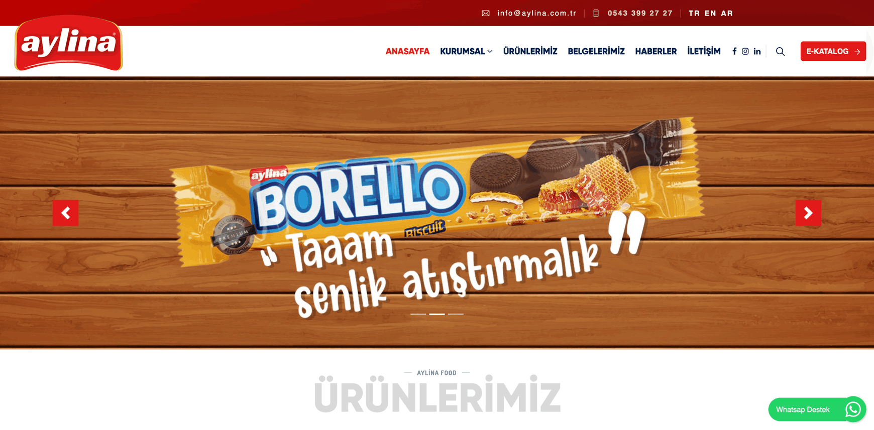 Aylina - Digital Küre ® Dijital Reklam Ajansı